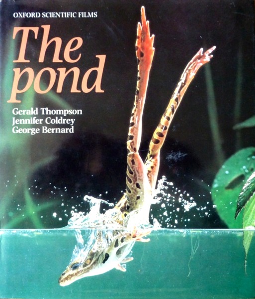 Study English with an article about ponds and small lakes